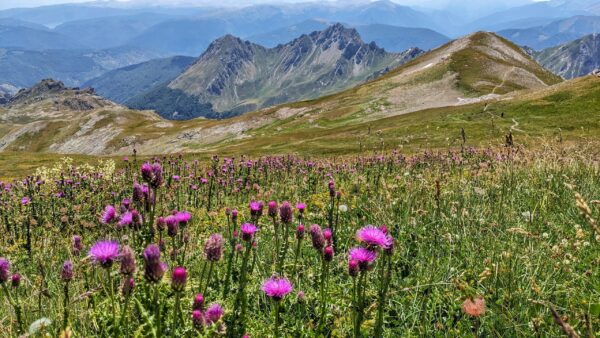Where Is Albania? Geography Explained Simply - Your Way to Albania
